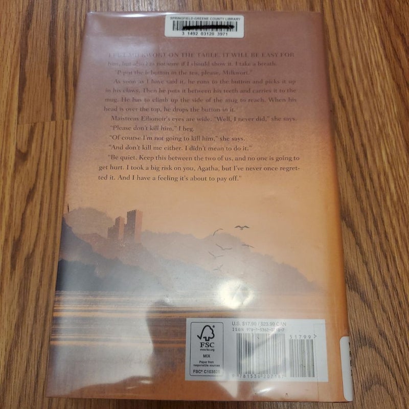 The Good Hawk (Shadow Skye, Book One) by Joseph Elliott