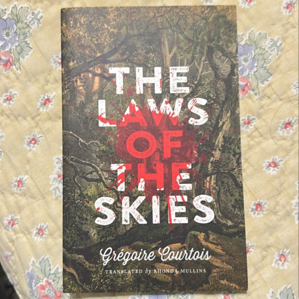 The Laws of the Skies by Gregoire Courtois, Rhonda Mullins