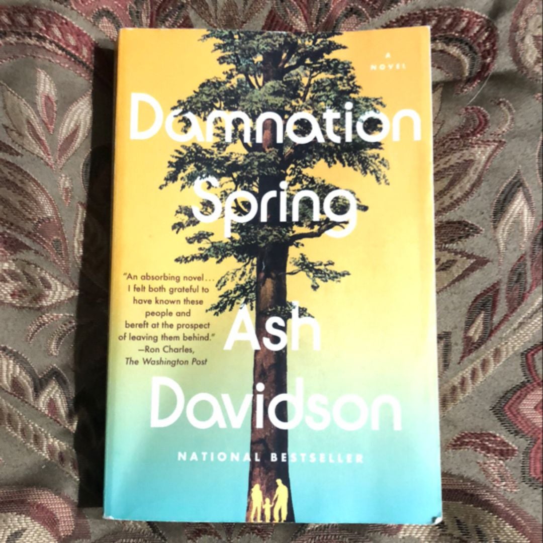 Damnation Spring by Ash Davidson