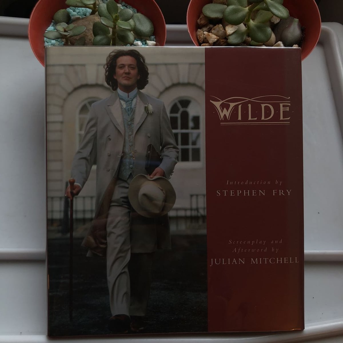 Illustrated Screenplay of Wilde by