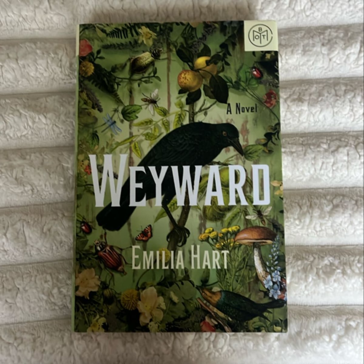Weyward by Emilia Hart
