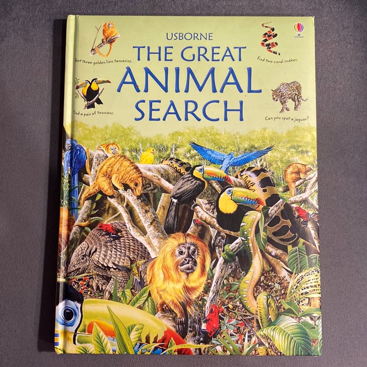 The Great Animal Search by Caroline Young