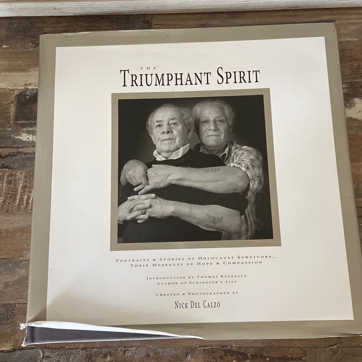 The Triumphant Spirit by Nick Del Calzo, Hardcover | Pangobooks