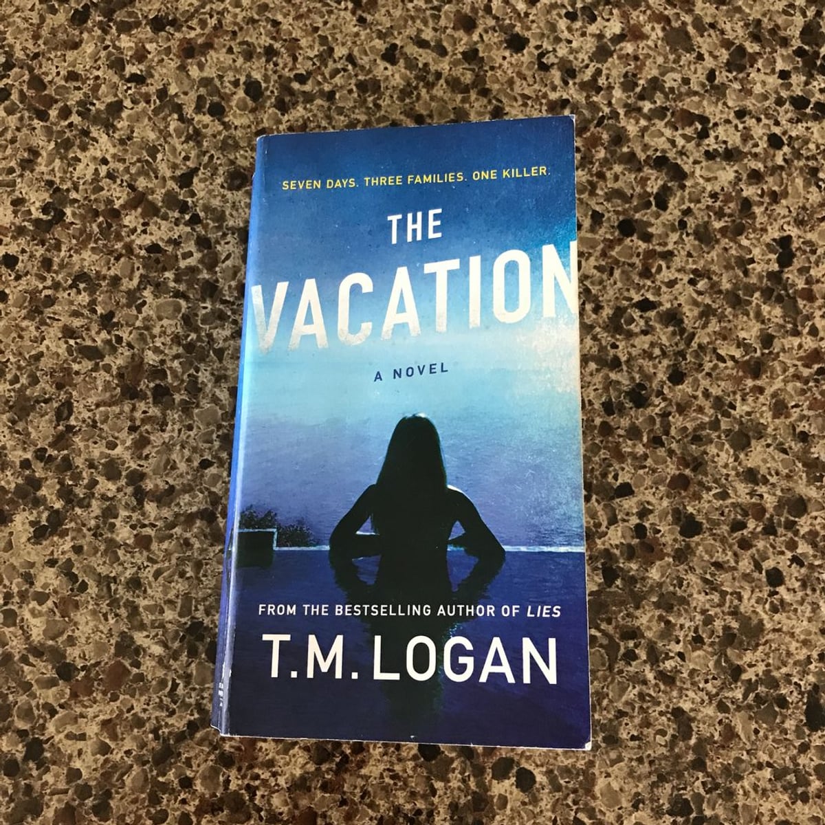 The Vacation by T. M. Logan, Paperback | Pangobooks
