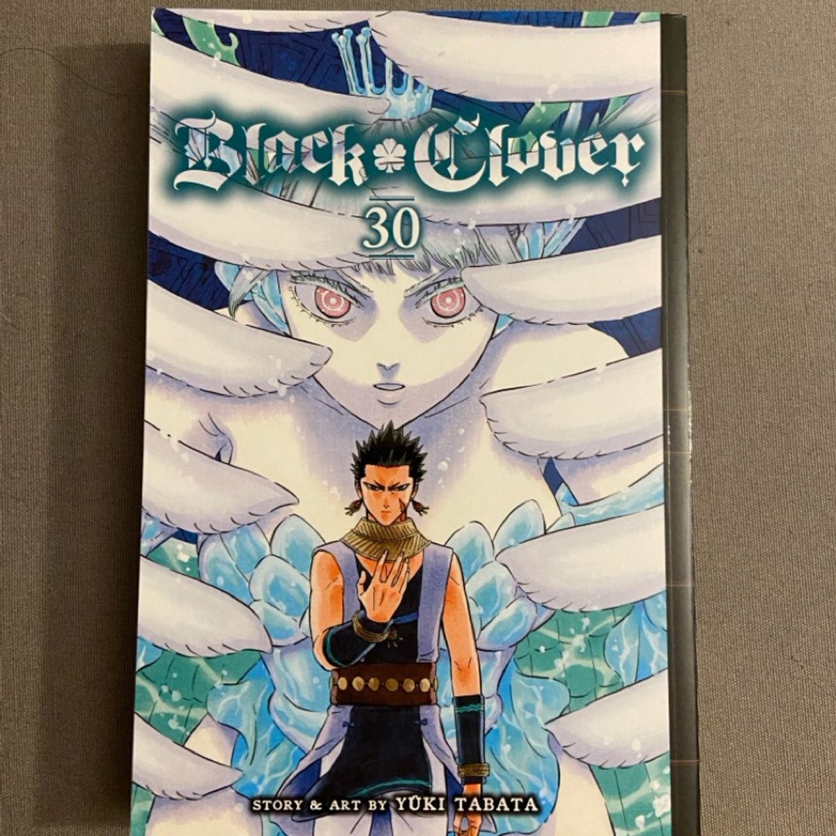 Black Clover, Vol. 30 by Yuki Tabata