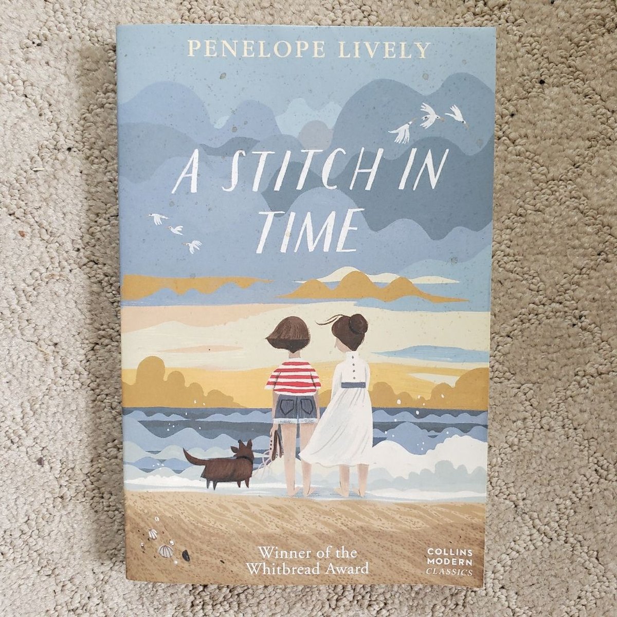 A Stitch in Time (Collins Modern Classics) by Penelope Lively