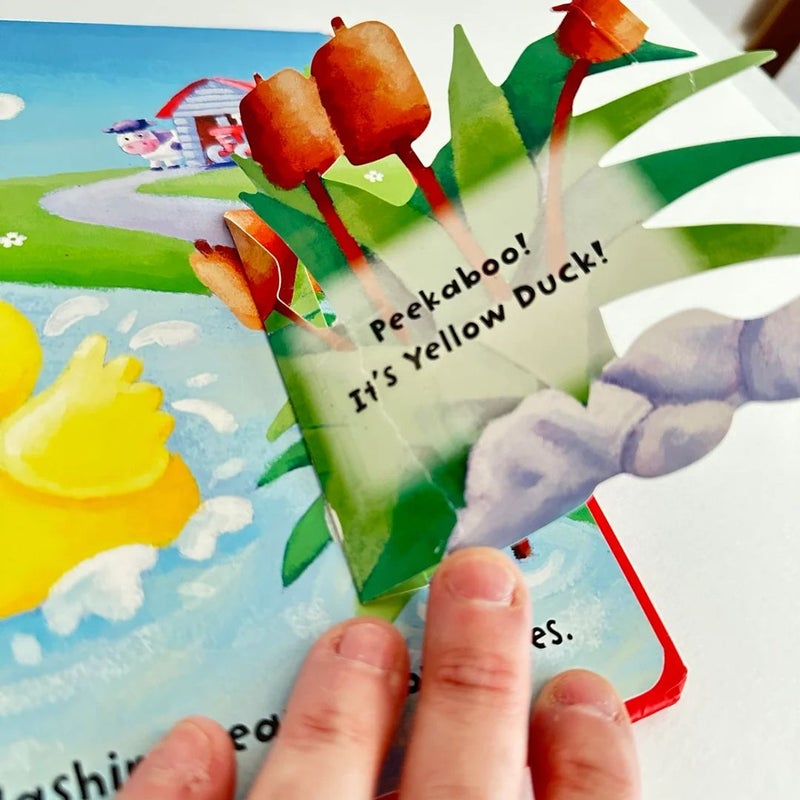 Peek a Boo! book bundle, 3 Books by Igloo Books, Hardcover | Pangobooks