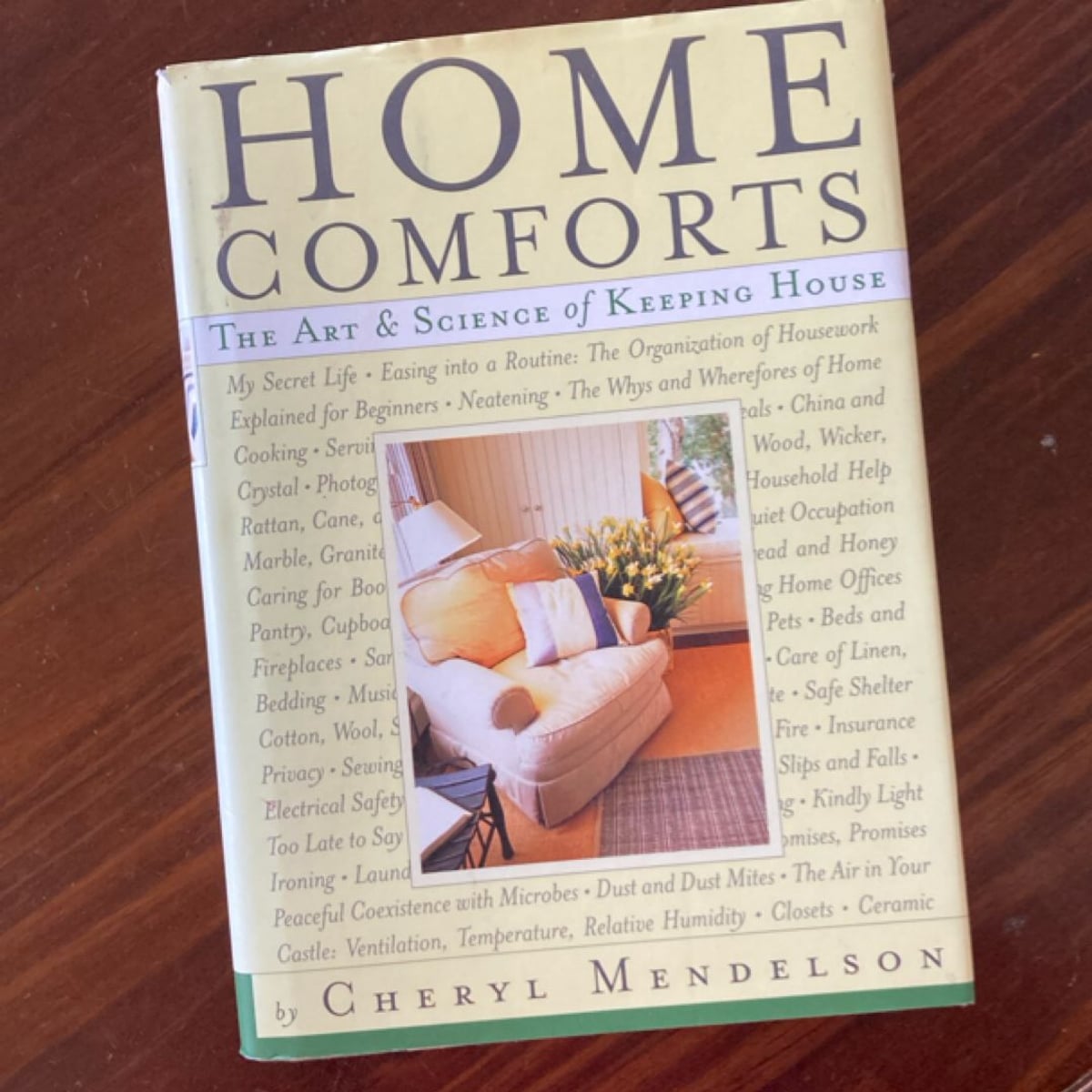 Home Comforts by Cheryl Mendelson