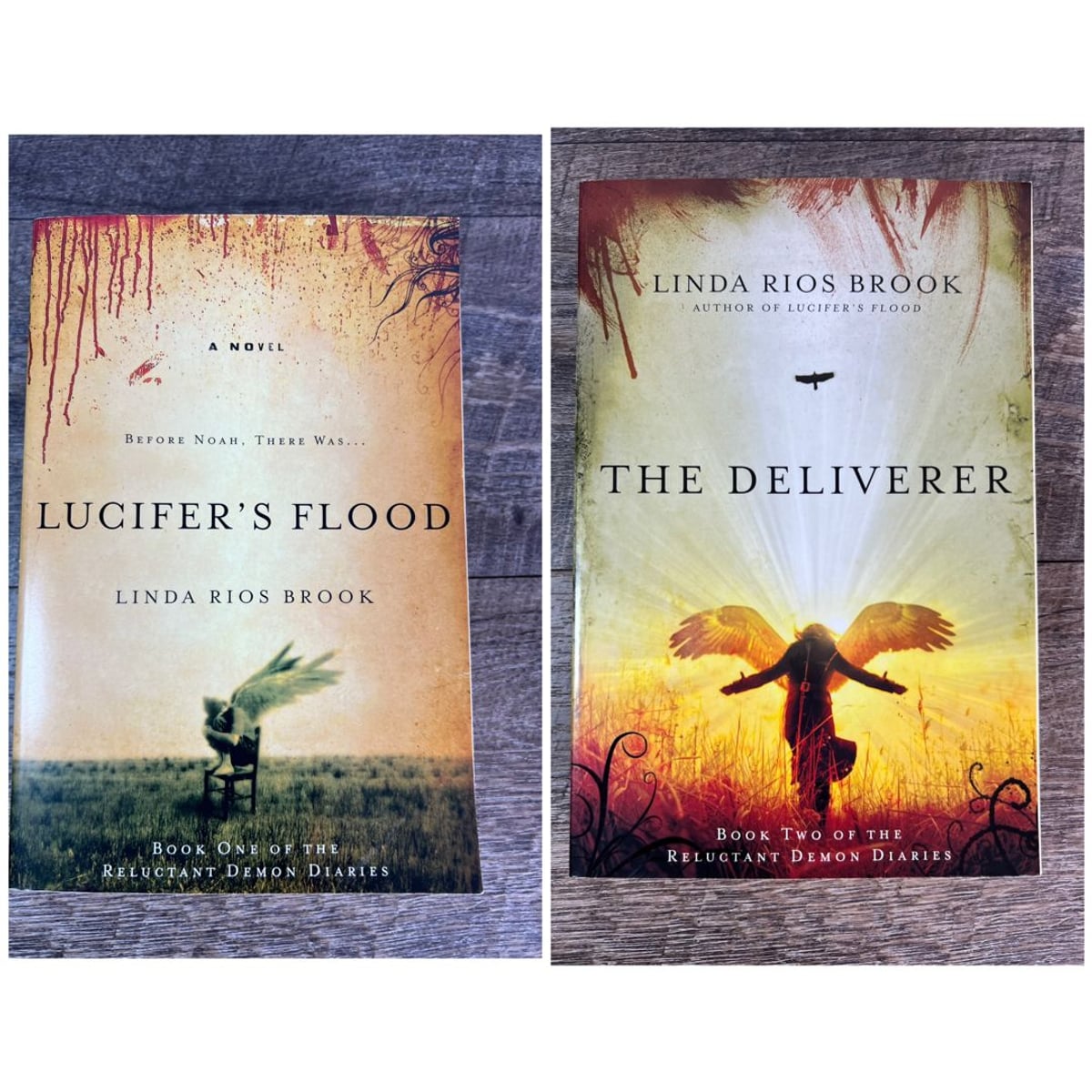 The Deliverer by Linda Rios Brook, Paperback | Pangobooks