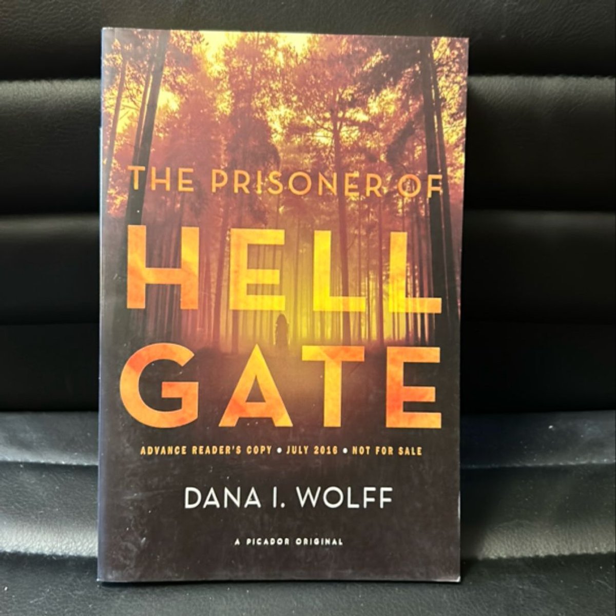 The Prisoner of Hell Gate by Dana I. Wolff