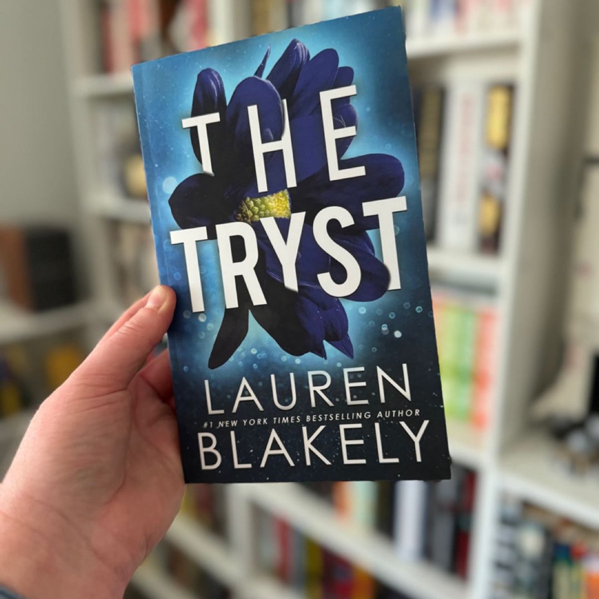 The Tryst by Lauren Blakely, Paperback | Pangobooks