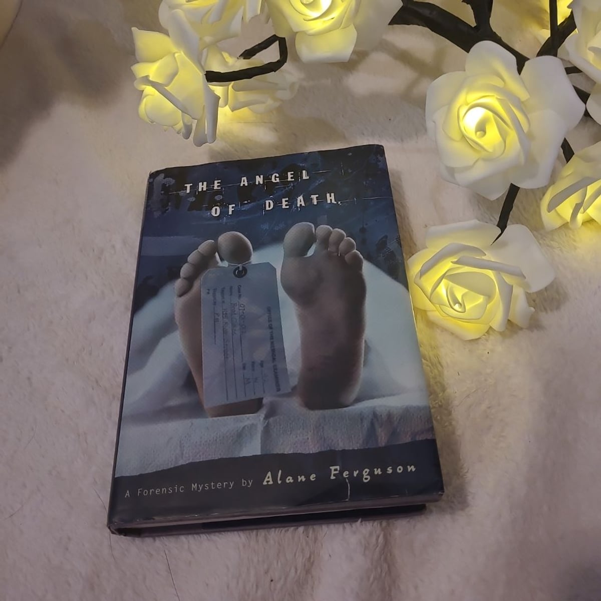 The Angel of Death by Alane Ferguson