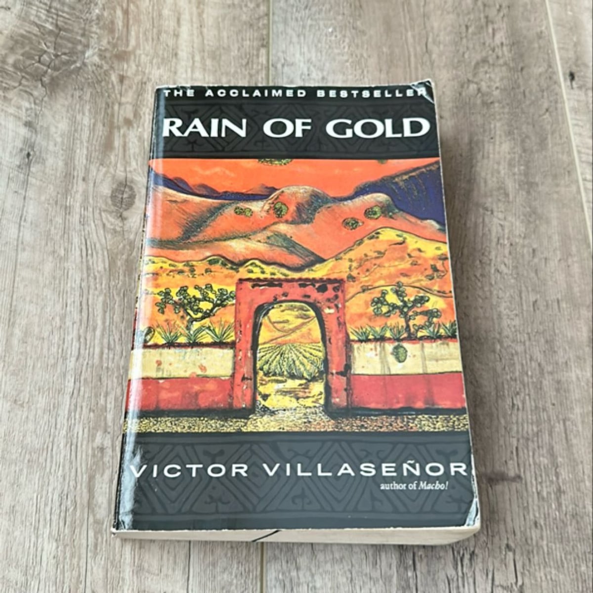 Rain of Gold by Victor Villaseñor