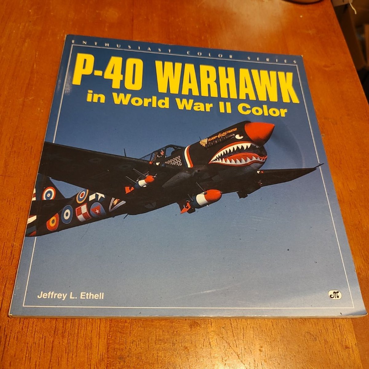 P-40 Warhawk in WWII Color by Jeffrey L. Ethell