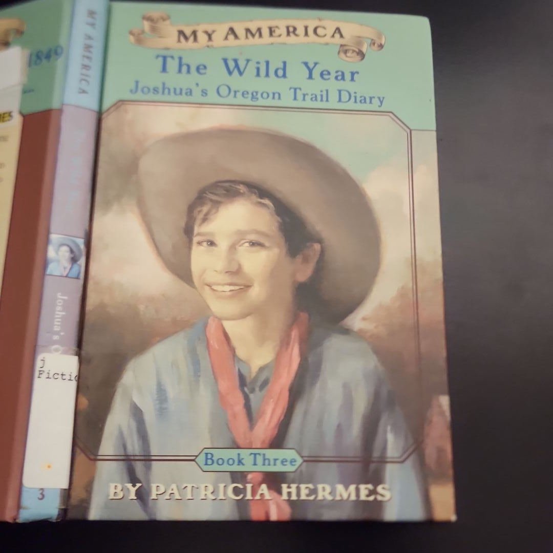 The Wild Year by Patricia Hermes