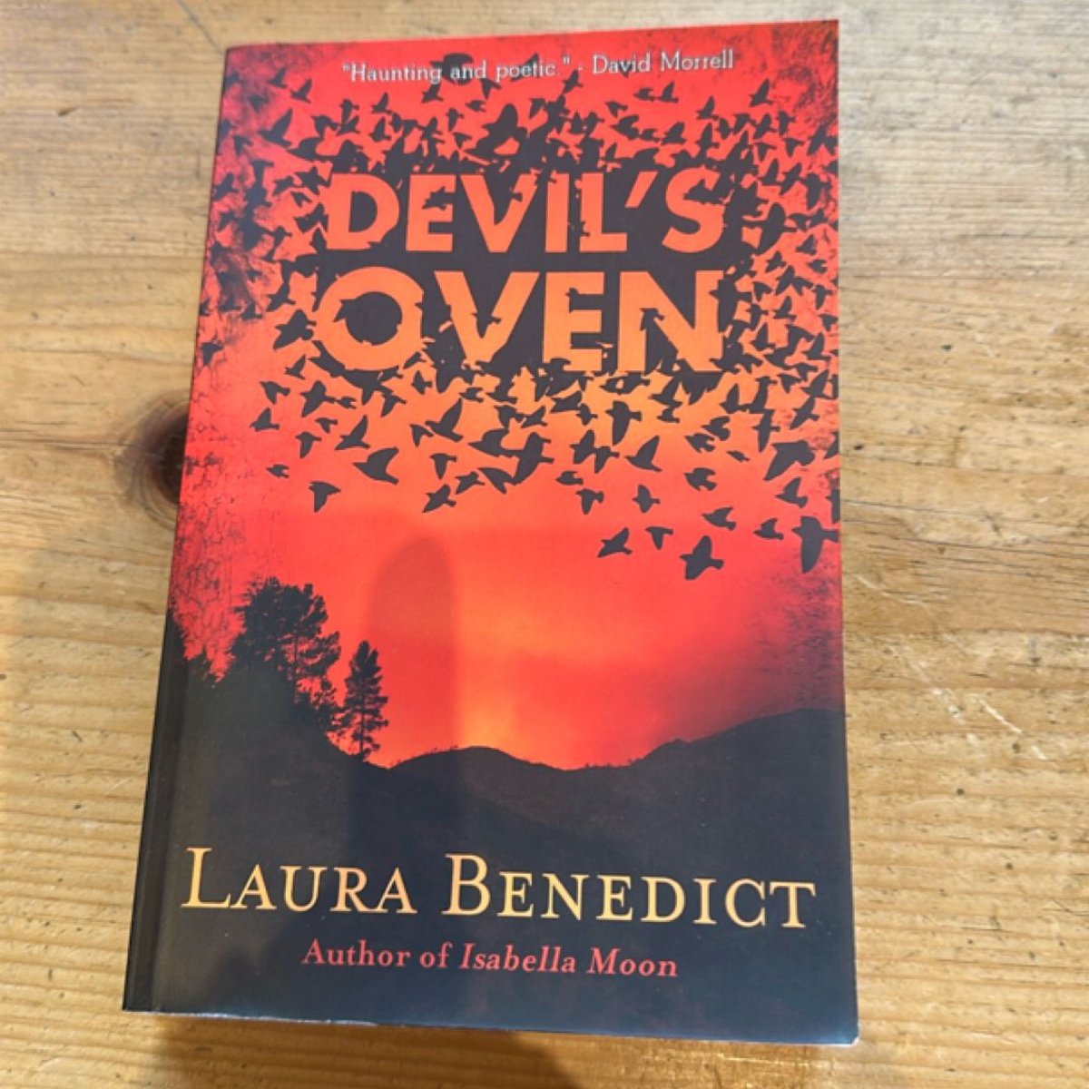 Devil's Oven by Laura Benedict
