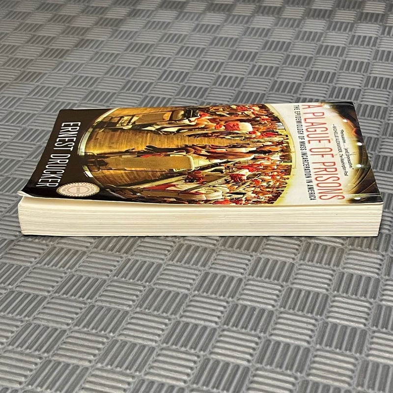 A Plague of Prisons by Ernest Drucker, Paperback | Pangobooks