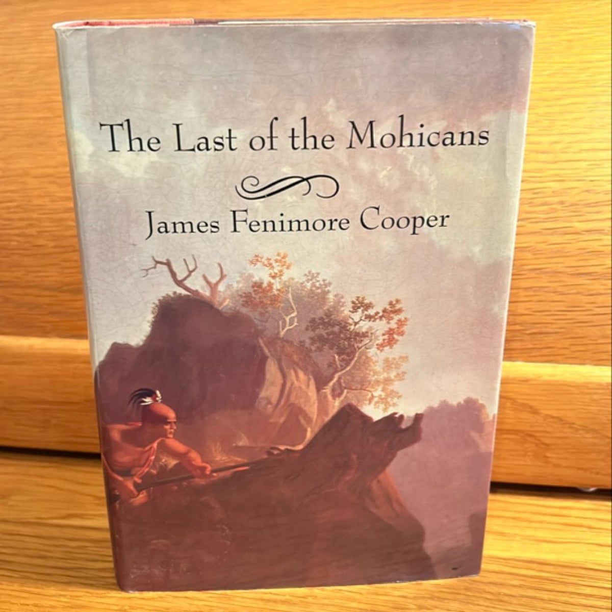 The Last of the Mohicans by James Fenimore Cooper, Hardcover | Pangobooks