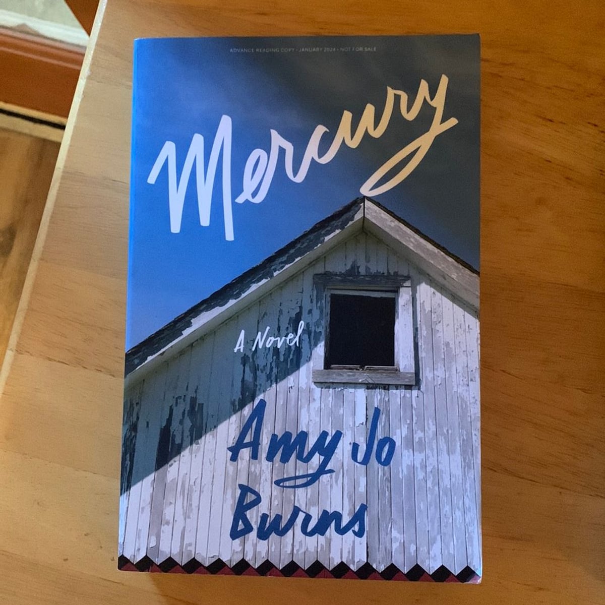 Mercury by Amy Jo Burns, Paperback | Pangobooks