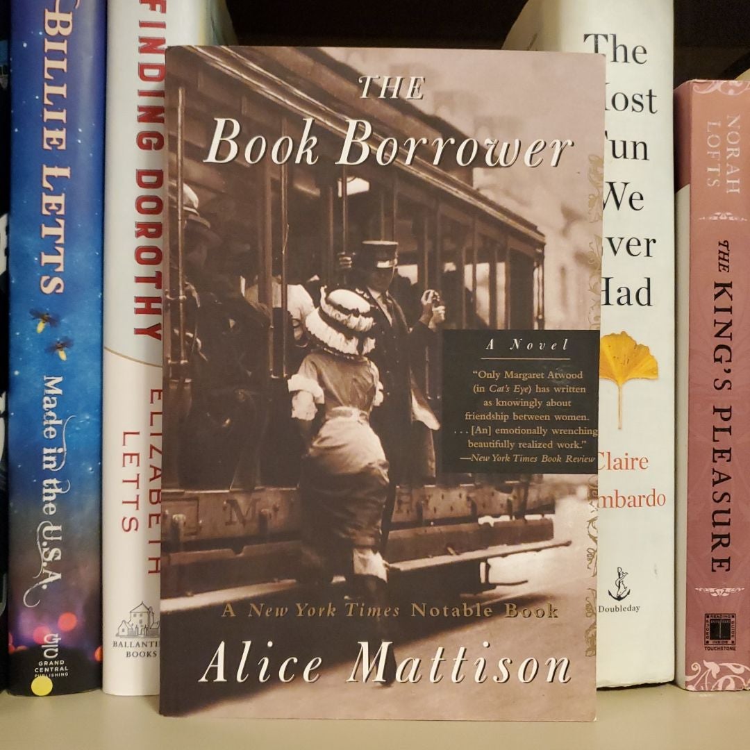 The Book Borrower by Alice Mattison