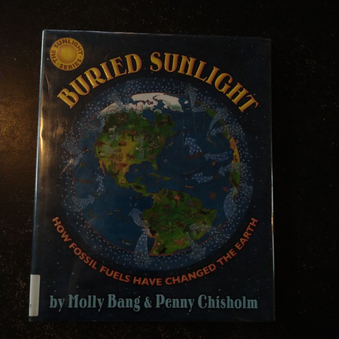 Buried Sunlight by Penny Chisholm
