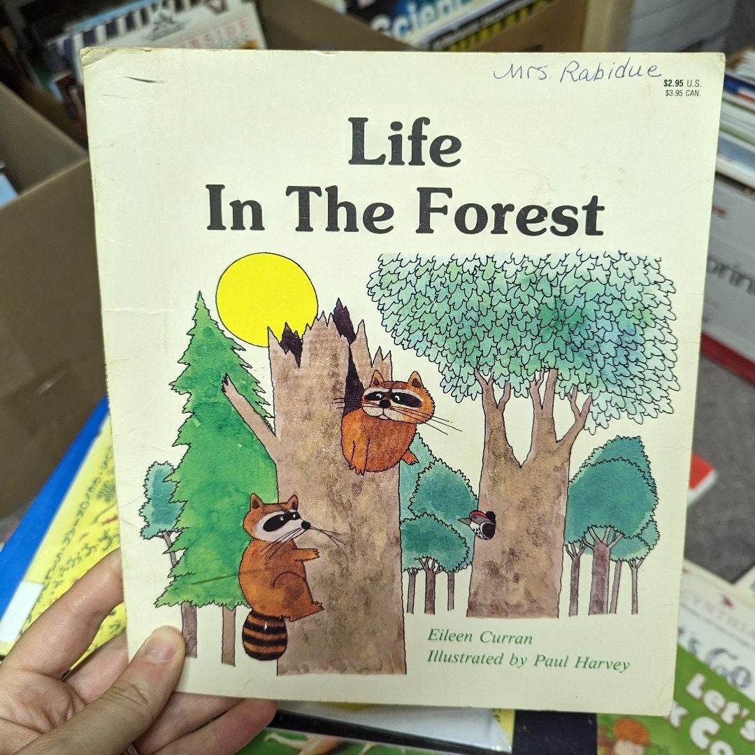 Life in the Forest by Eileen Curran