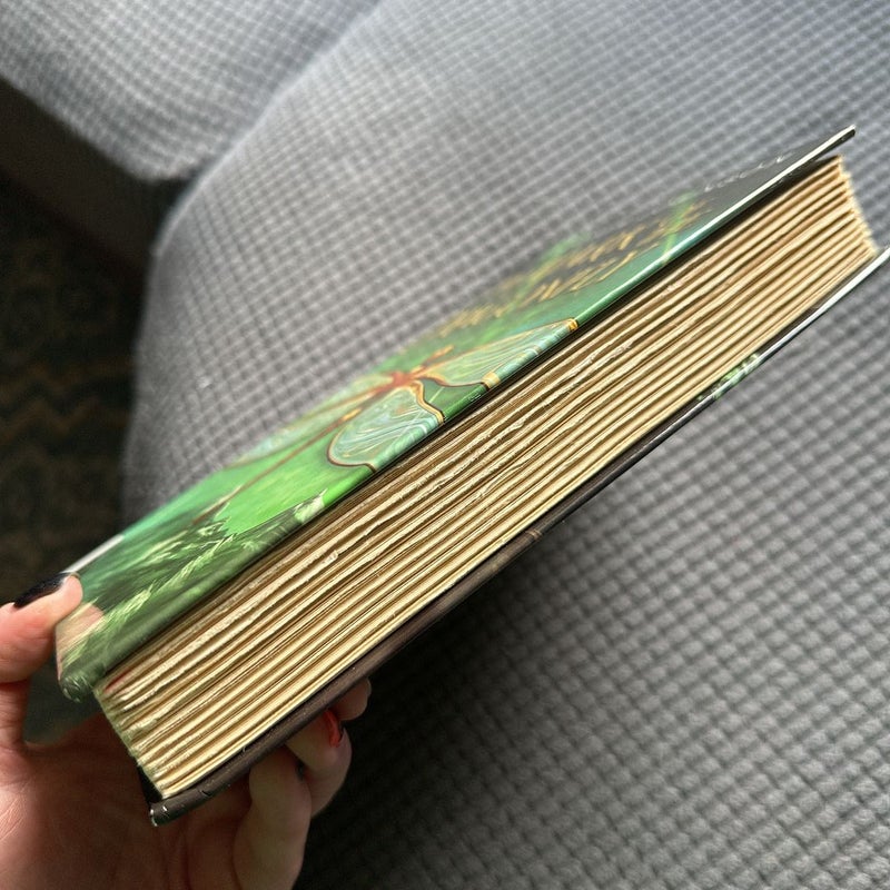 The Mark of the Dragonfly by Jaleigh Johnson