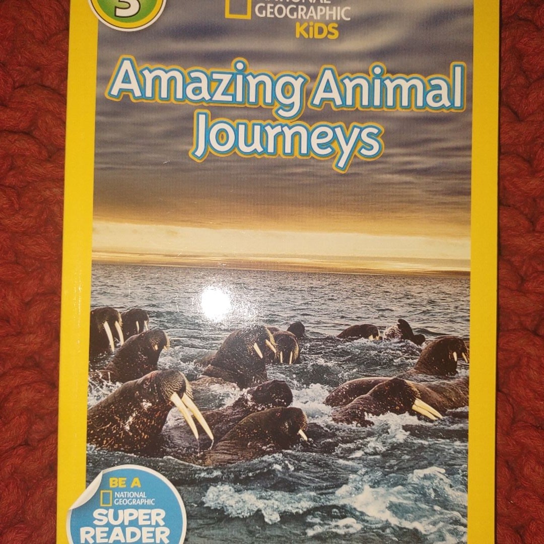 National Geographic Readers: Great Migrations Amazing Animal Journeys ...