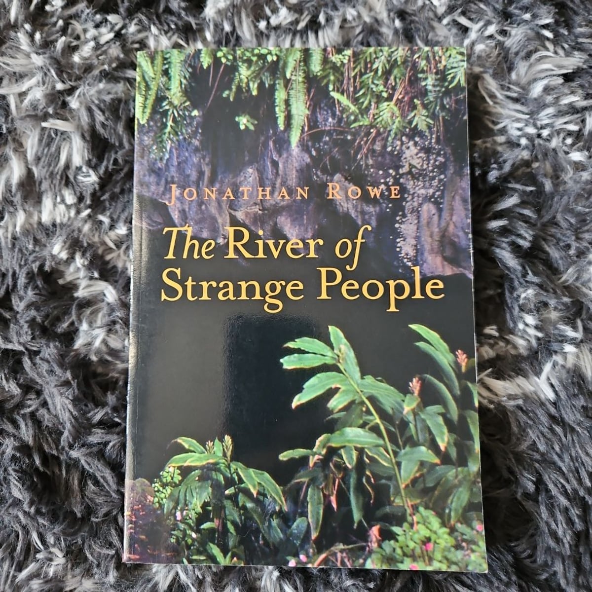 The River of Strange People by Jonathan Rowe