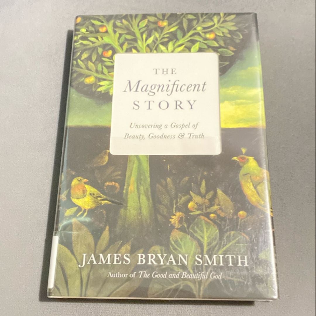 The Magnificent Story by James Bryan Smith