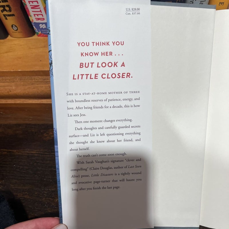 Little Disasters by Sarah Vaughan , Hardcover | Pangobooks