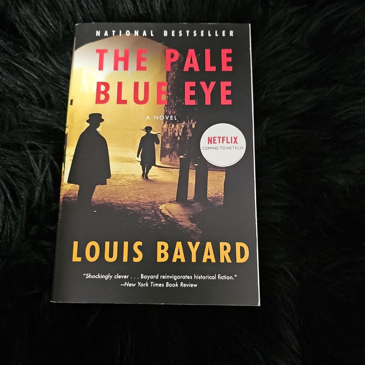 The Pale Blue Eye by Louis Bayard