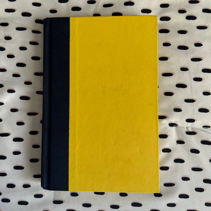Big Swiss by Jen Beagin, Hardcover | Pangobooks