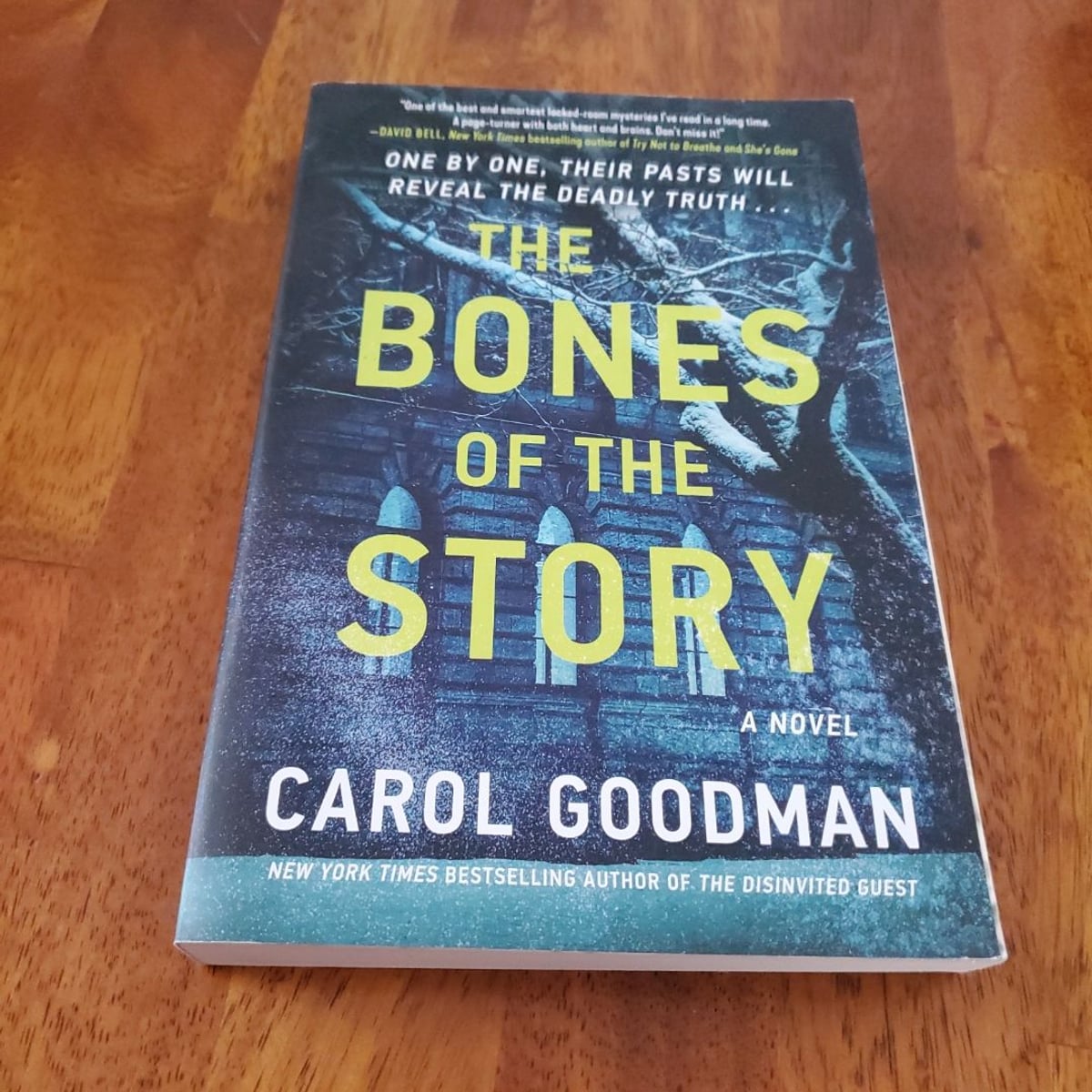 The Bones of the Story by Carol Goodman