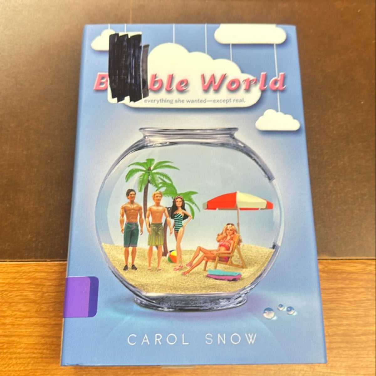 Bubble World by Carol Snow