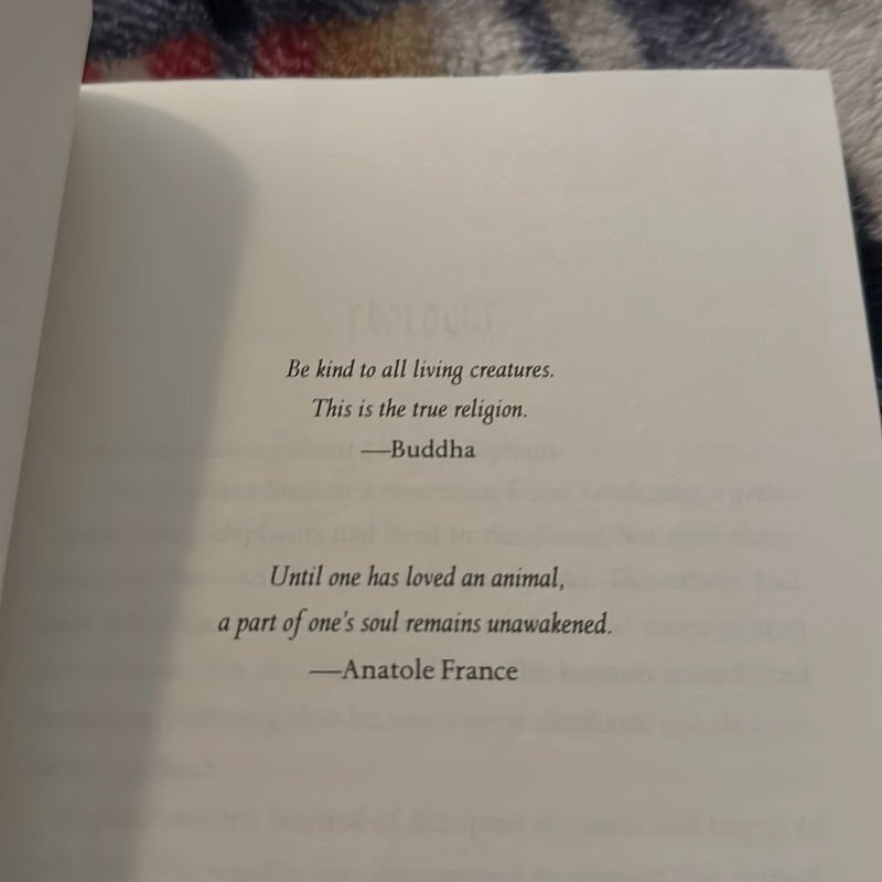 A Circle of Elephants by Eric Dinerstein, Hardcover | Pangobooks