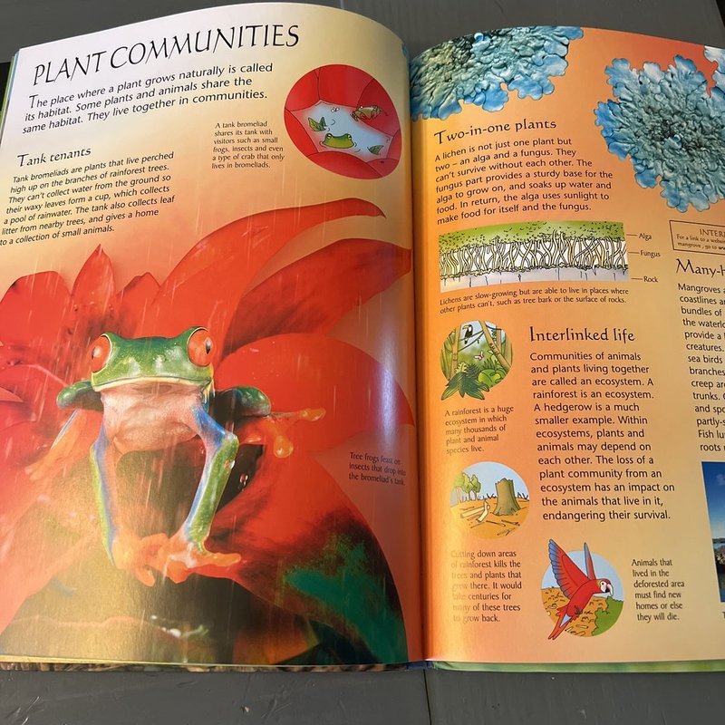 Mysteries and Marvels of Nature by L. Dalby