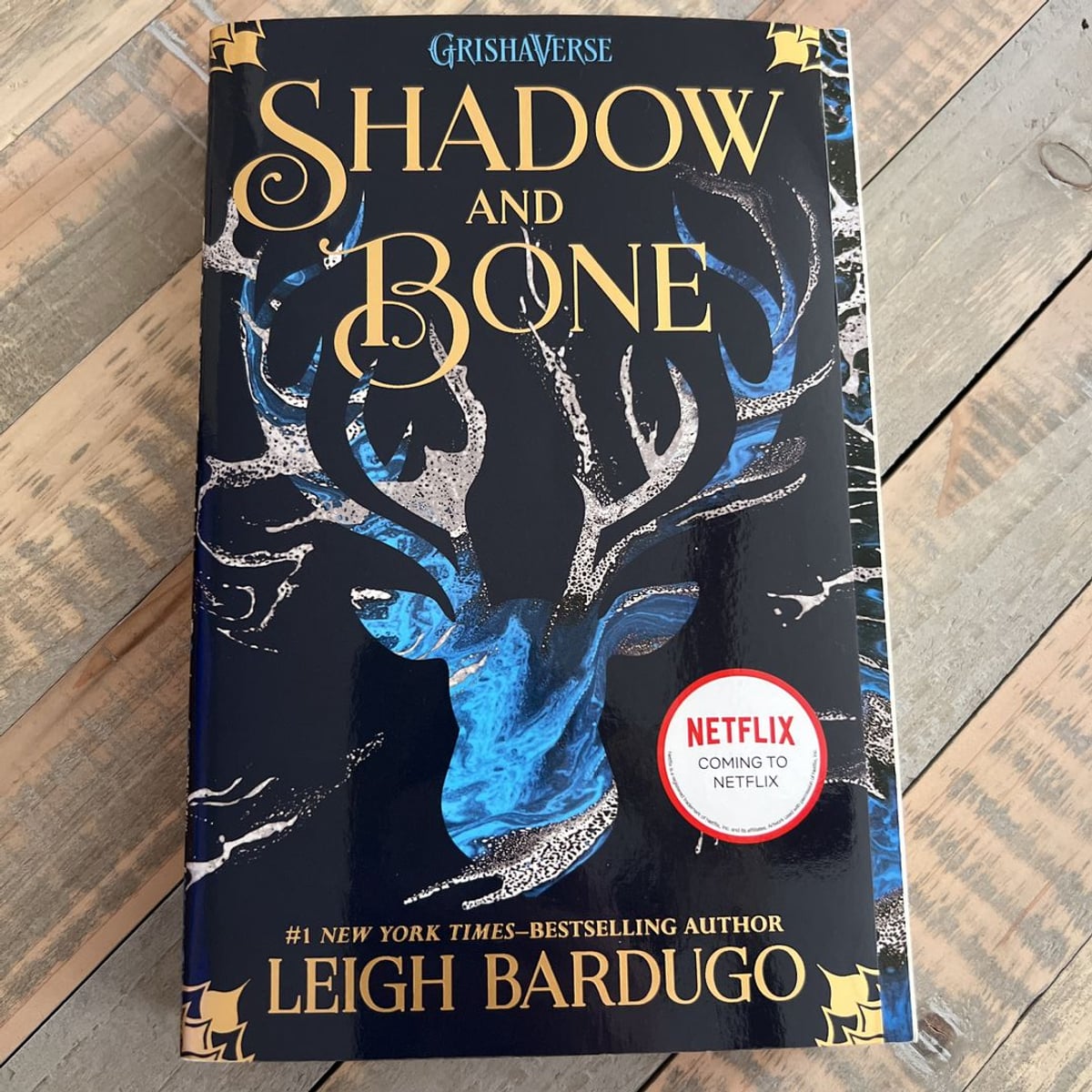 Shadow and Bone by Leigh Bardugo, Paperback | Pangobooks