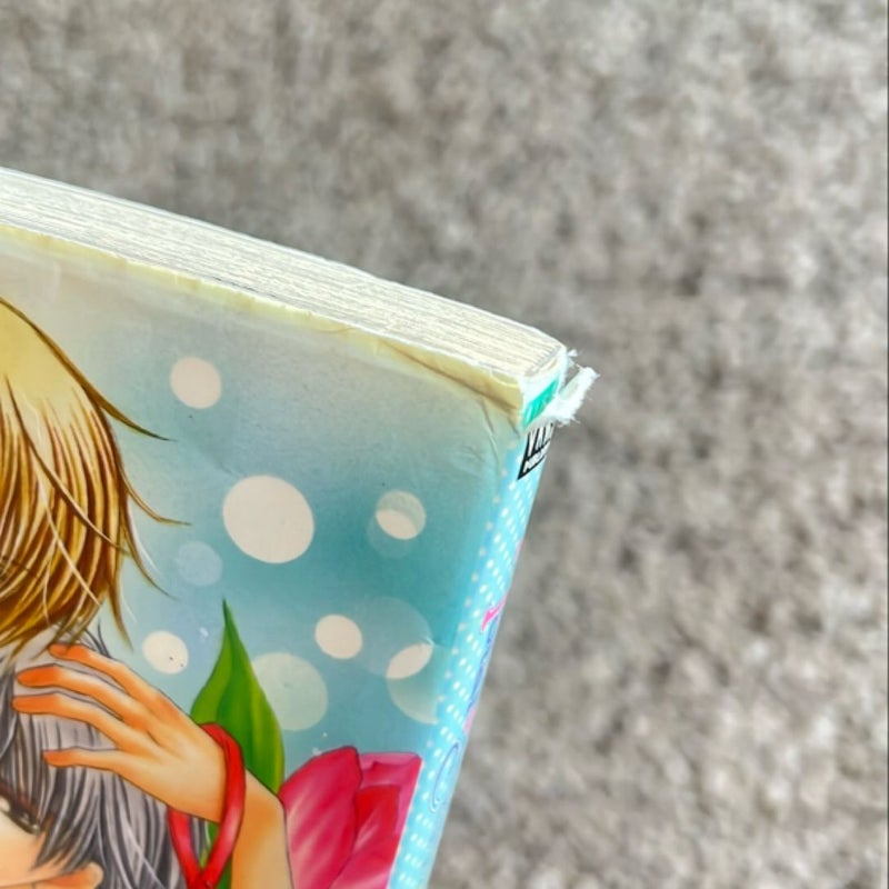 Total Surrender (Yaoi) by Hiroko Ishimaru, Paperback | Pangobooks