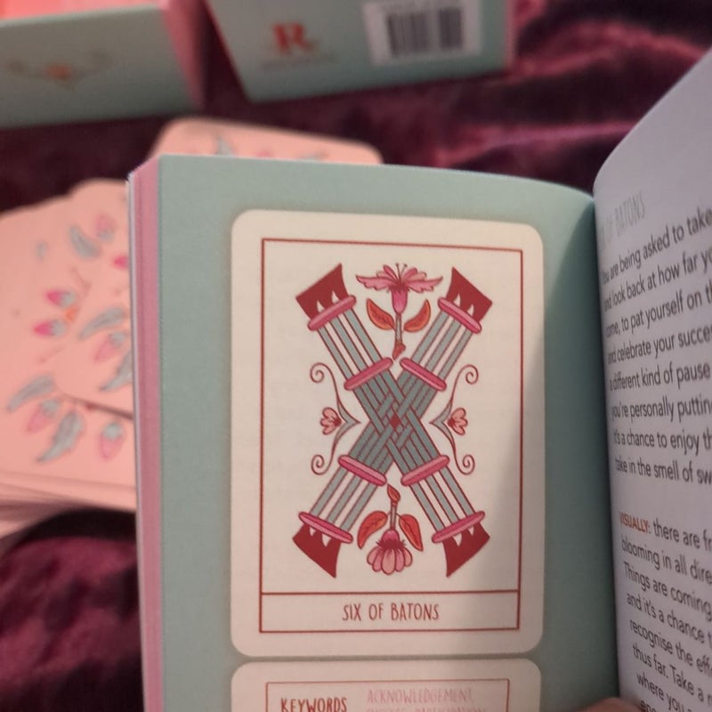 Squid Cake Marseille Tarot by Jess Rollar, Hardcover | Pangobooks
