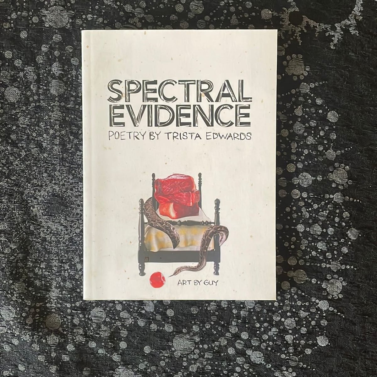 Spectral Evidence by Trista Edwards, Guy