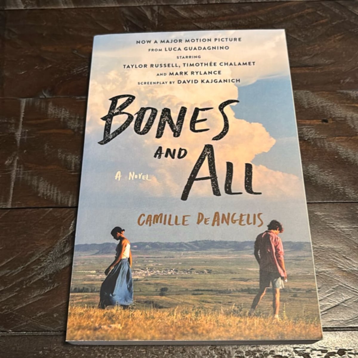 Bones and All by Camille DeAngelis, Paperback | Pangobooks