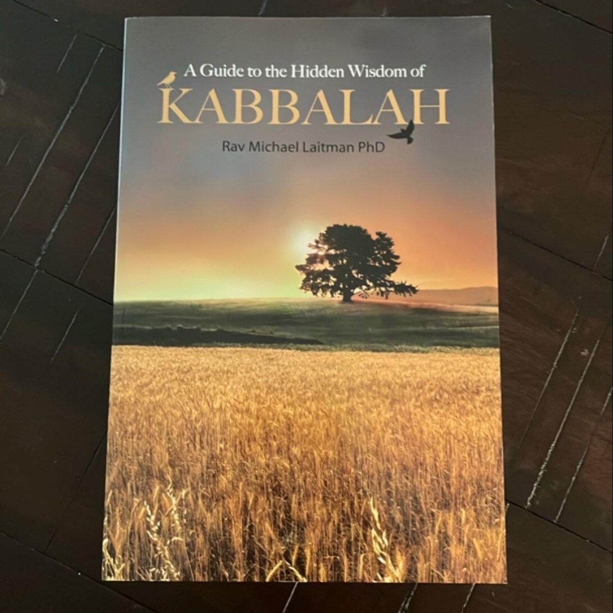 A Guide to the Hidden Wisdom of Kabbalah by Michael Laitman