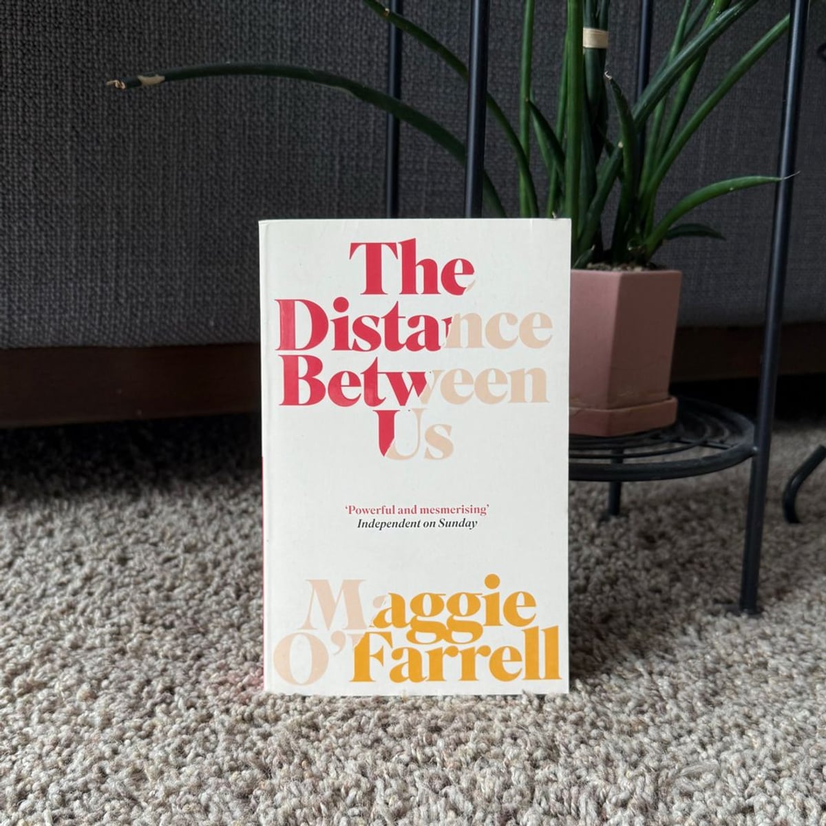 The Distance Between Us by Maggie O'Farrell, Paperback | Pangobooks