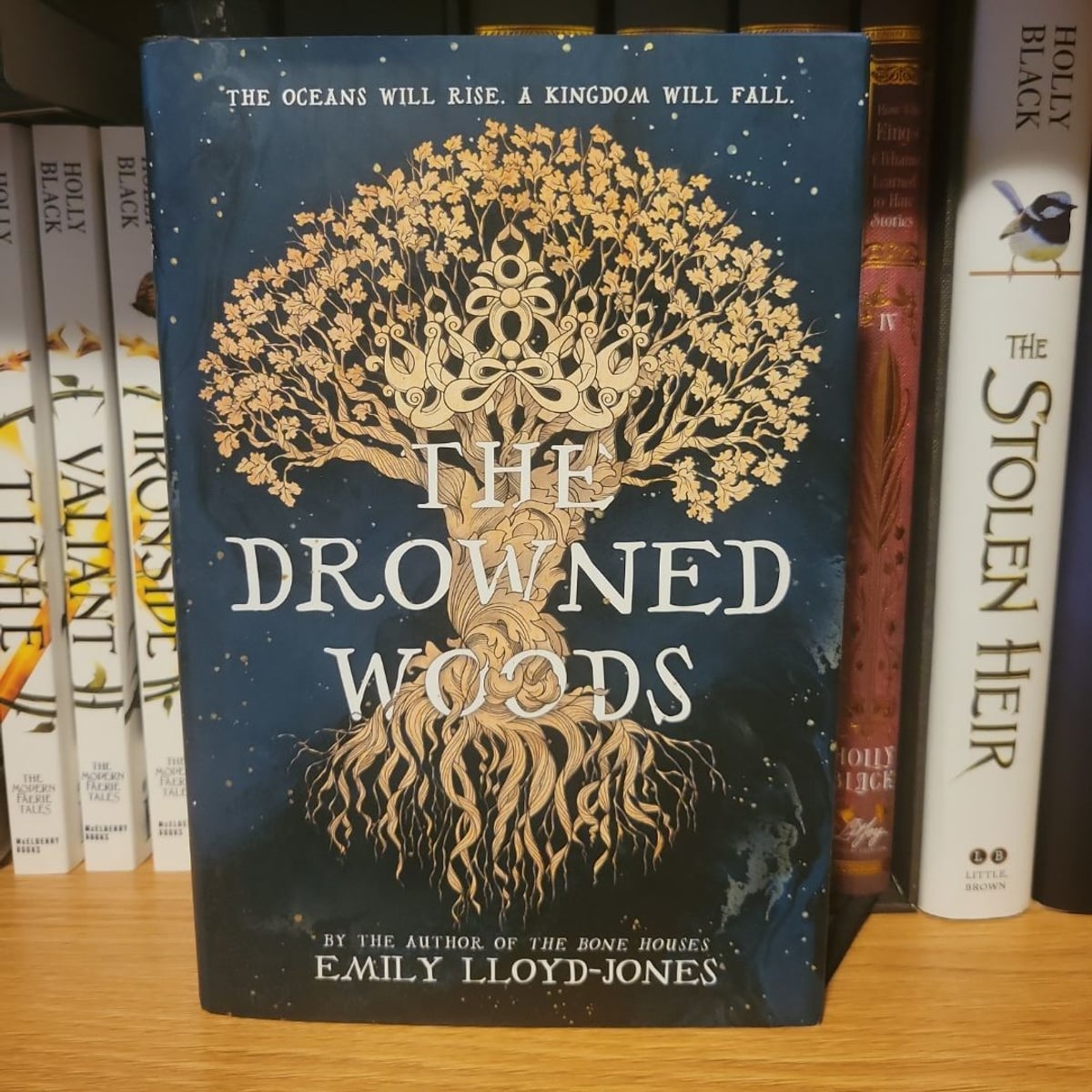 The Drowned Woods by Emily Lloyd-Jones