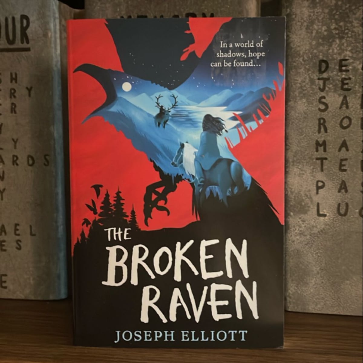 The Broken Raven (Shadow Skye, Book Two) by Joseph Elliott