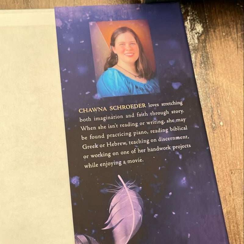 The Vault Between Spaces by Chawna Schroeder