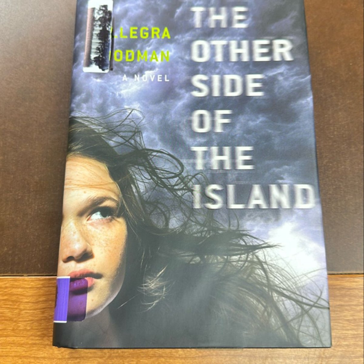 The Other Side of the Island by Allegra Goodman