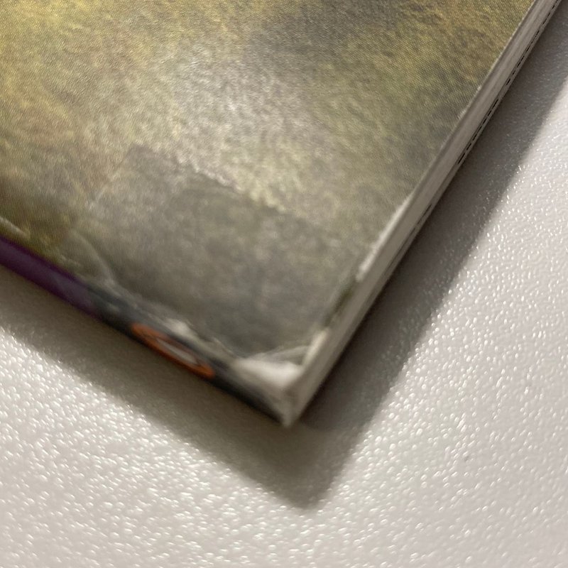 What Was the Age of the Dinosaurs? by Megan Stine, Paperback | Pangobooks