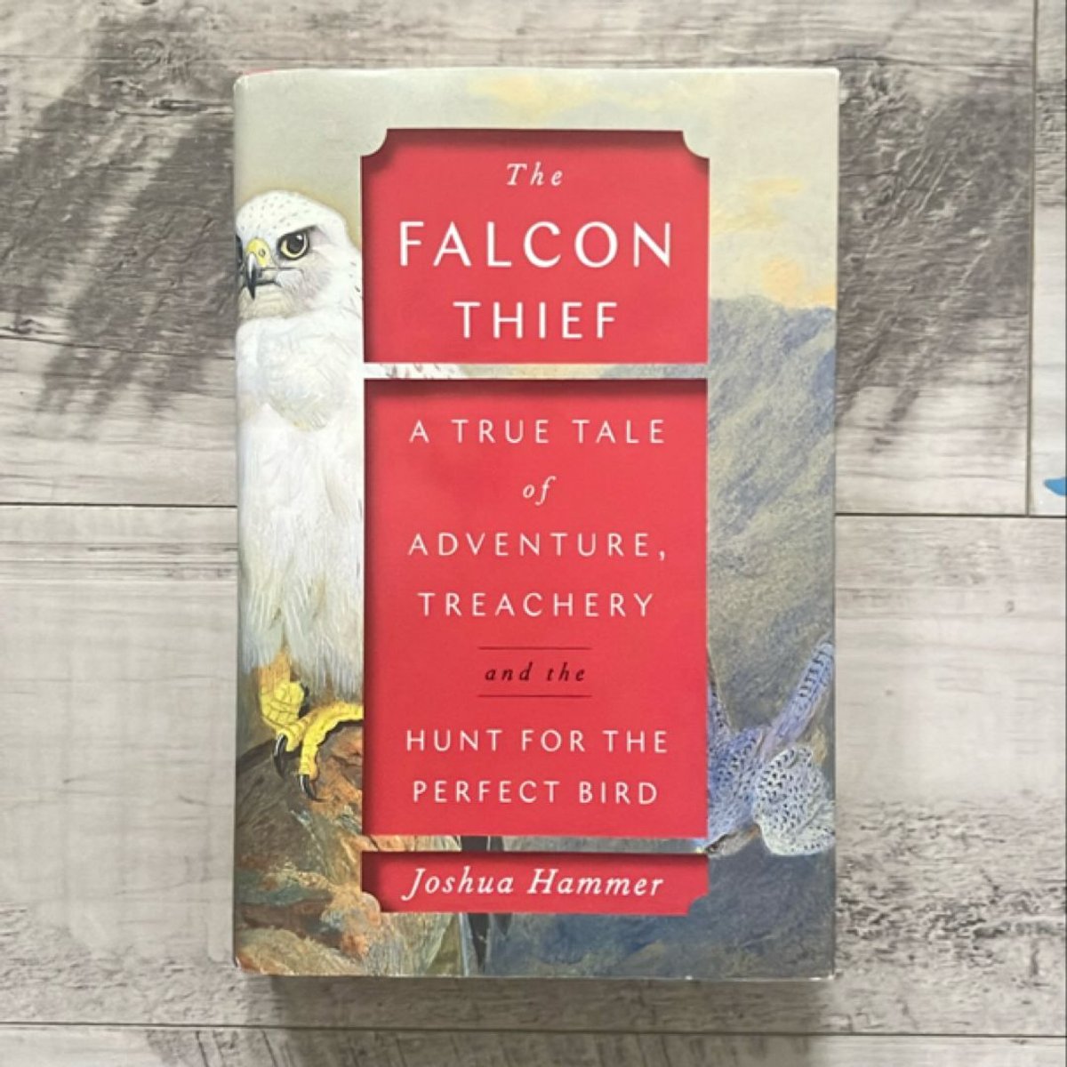 The Falcon Thief by Joshua Hammer